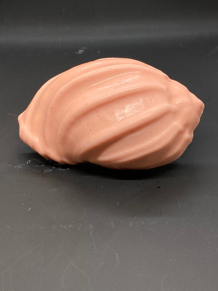 Conch Shell Mold – MoldMarket